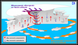 1) - Structure d'un cyclone